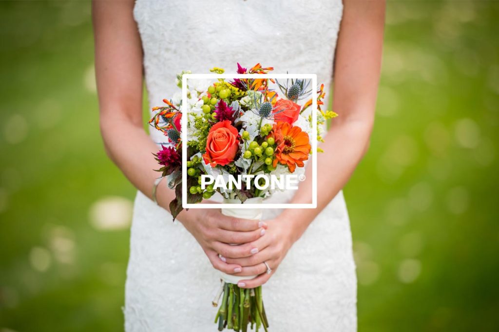 Best Wedding Apps To Make Your Planning A Piece Of Cake – MyPostcard