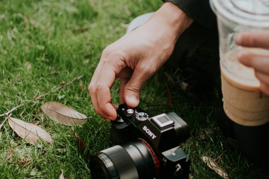 Great Zoom Photography: 7 Tips to Master the Lens – MyPostcard